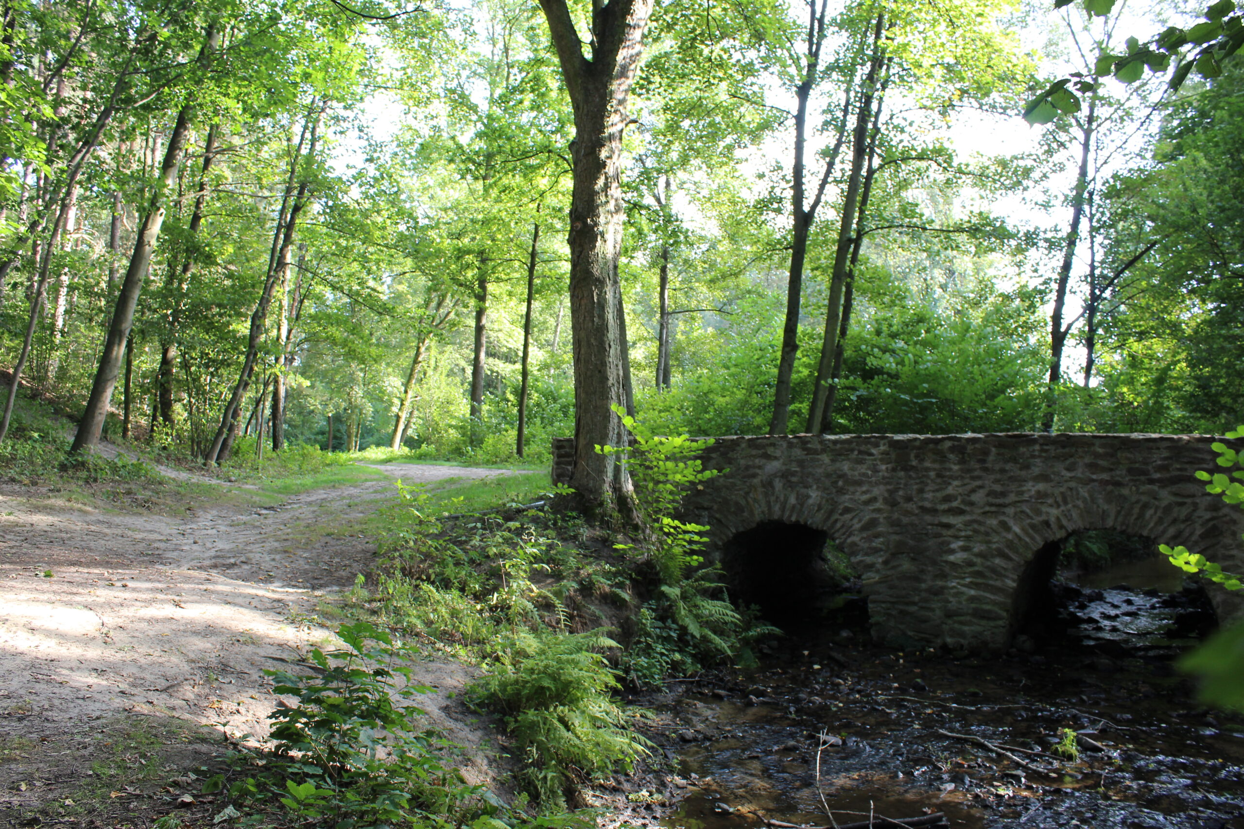 Gmina Radłów — Górna Prosna